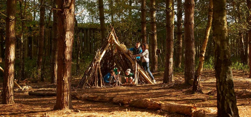 How to build the ultimate den