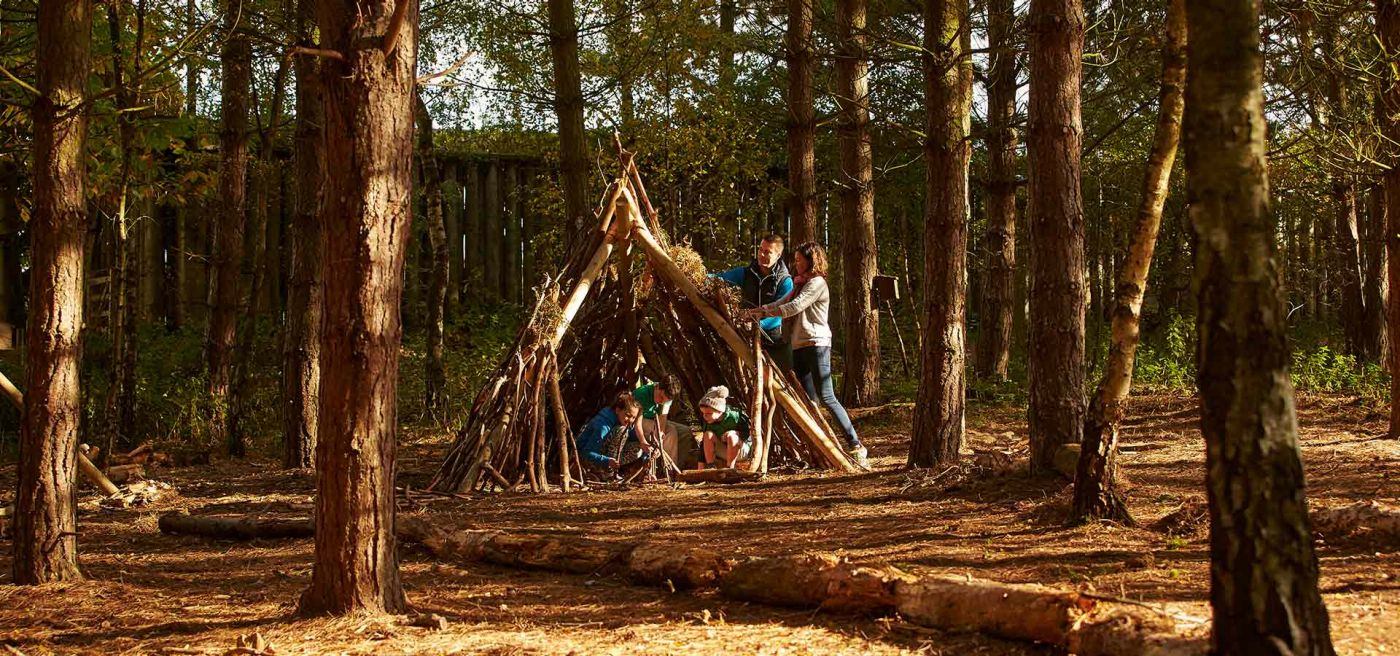 How to build the ultimate den