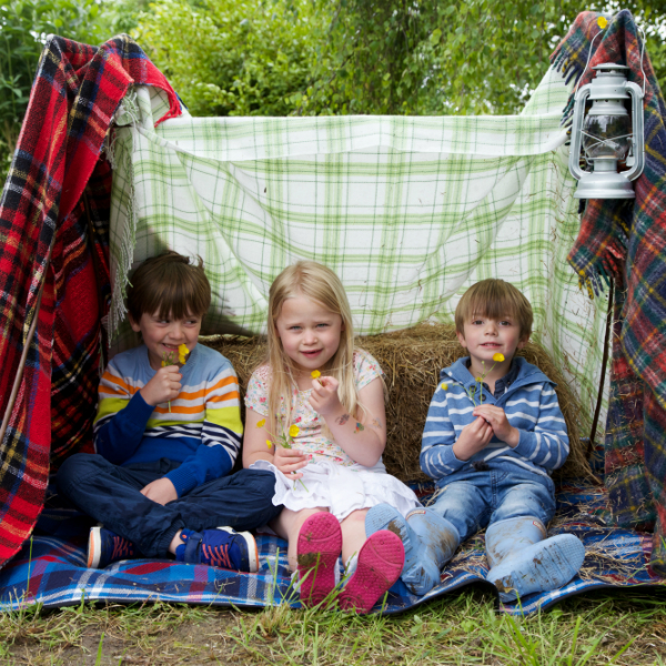 How to build the ultimate den