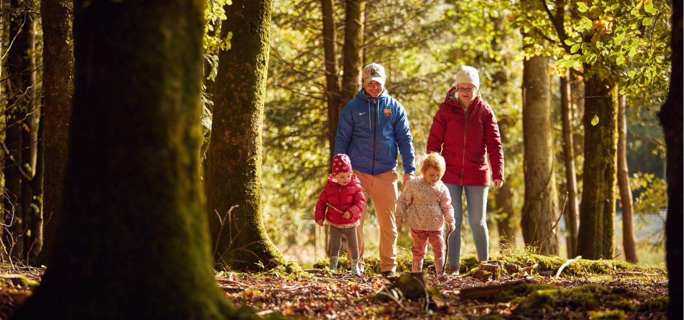 Make an Autumn Nature Mobile with Laura Brand