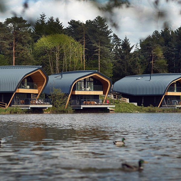 What’s so special about Elveden Forest