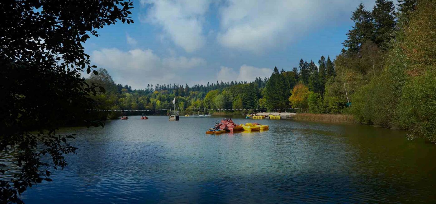 What’s so special about Longleat Forest?